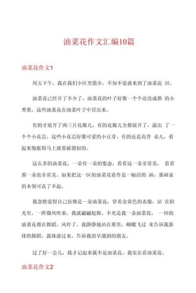 油菜花作文怎么写_油菜花作文500字范文-第3张图片-山城妙识