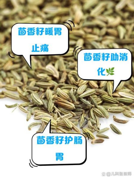 茴香籽怎么吃最好_茴香籽的正确吃法-第1张图片-山城妙识