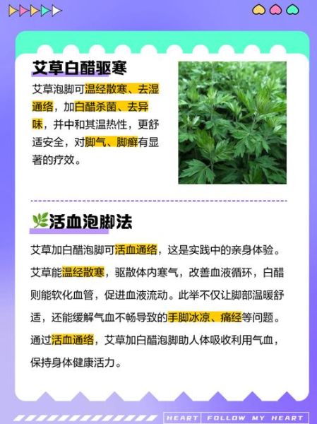 米醋能减肥吗_米醋泡脚的正确方法-第3张图片-山城妙识