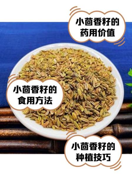 茴香籽怎么吃最好_茴香籽的正确吃法-第3张图片-山城妙识