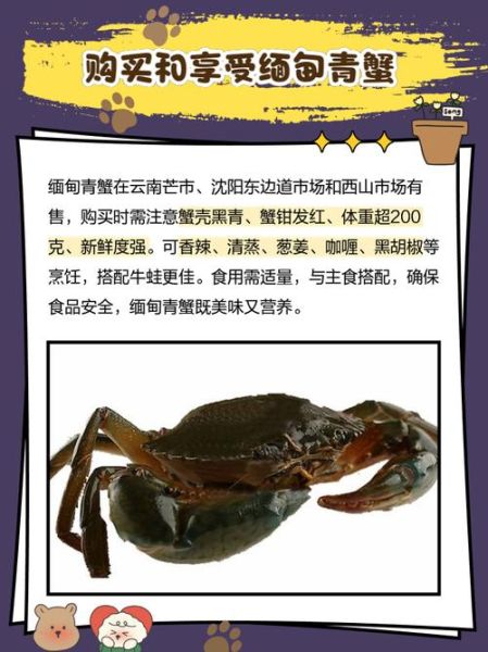 青蟹价格多少钱一斤_2024最新行情-第3张图片-山城妙识