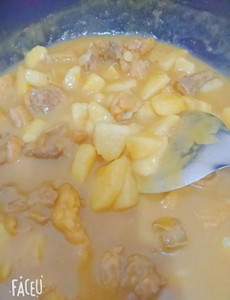 咖喱鸡怎么做好吃_咖喱鸡的做法步骤详解-第3张图片-山城妙识