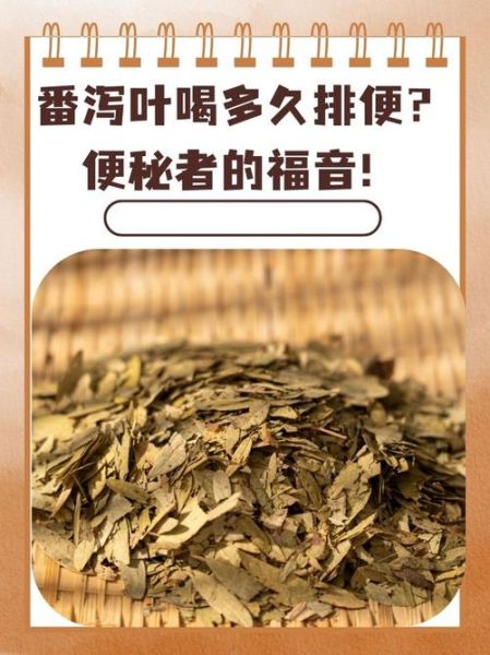 番泻叶的副作用有哪些_番泻叶怎么喝最减肥-第3张图片-山城妙识