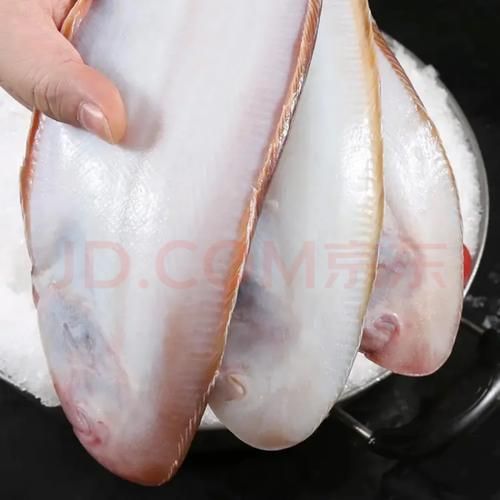 活的龙利鱼长什么样_龙利鱼图片活的怎么分辨真假-第2张图片-山城妙识 活的龙利鱼长什么样_龙利鱼图片活的怎么分辨真假-第2张图片-山城妙识