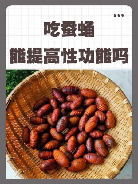 吃蚕蛹能壮阳吗_蚕蛹壮阳是真的吗-第2张图片-山城妙识 吃蚕蛹能壮阳吗_蚕蛹壮阳是真的吗-第2张图片-山城妙识