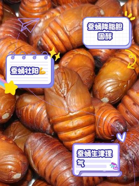 吃蚕蛹能壮阳吗_蚕蛹壮阳是真的吗-第1张图片-山城妙识 吃蚕蛹能壮阳吗_蚕蛹壮阳是真的吗-第1张图片-山城妙识