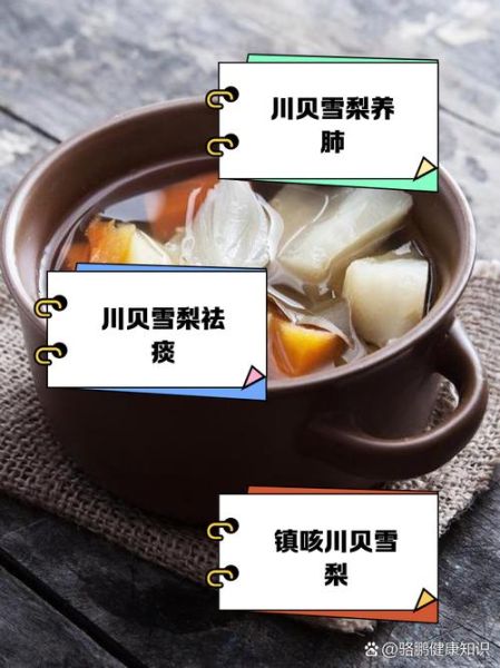 雪梨炖川贝怎么做_雪梨炖川贝的功效与禁忌-第3张图片-山城妙识