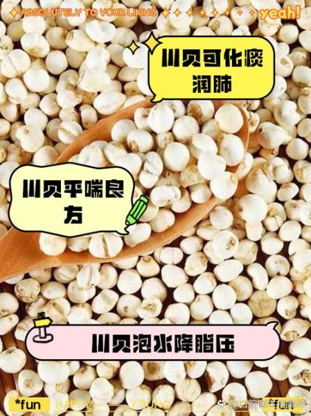 川贝泡水喝的功效_川贝泡水喝的正确方法-第2张图片-山城妙识