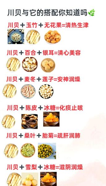 川贝泡水喝的功效_川贝泡水喝的正确方法-第1张图片-山城妙识