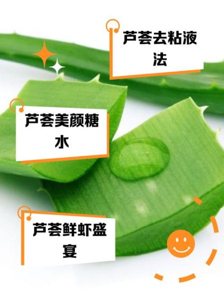 芦荟怎么吃_芦荟的正确吃法与禁忌-第3张图片-山城妙识 芦荟怎么吃_芦荟的正确吃法与禁忌-第3张图片-山城妙识