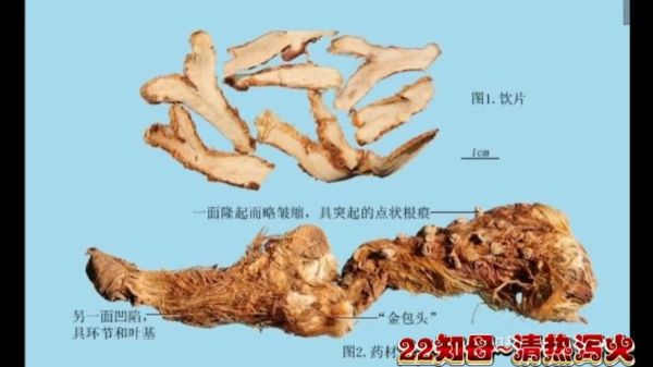 知母的功效与作用_知母怎么吃效果最好-第3张图片-山城妙识