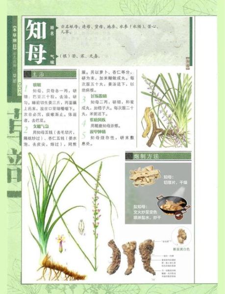 知母的功效与作用_知母怎么吃效果最好-第2张图片-山城妙识