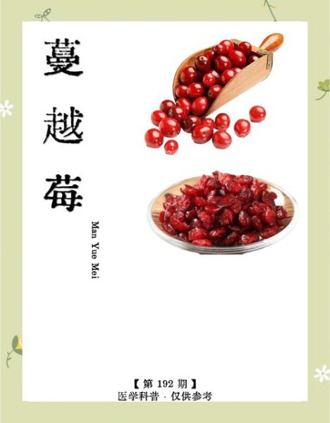 蔓越莓是什么水果_蔓越莓的功效与作用-第3张图片-山城妙识