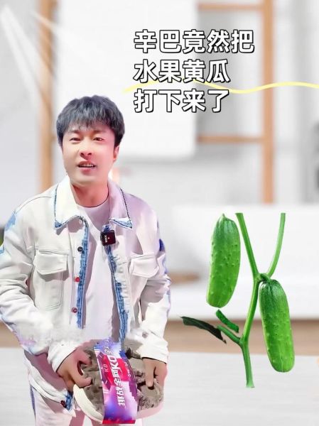 青瓜视频怎么赚钱_青瓜视频推广技巧-第1张图片-山城妙识