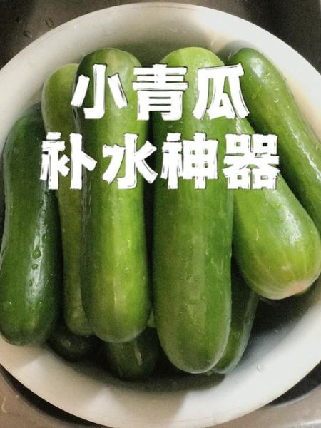青瓜视频怎么赚钱_青瓜视频推广技巧-第3张图片-山城妙识