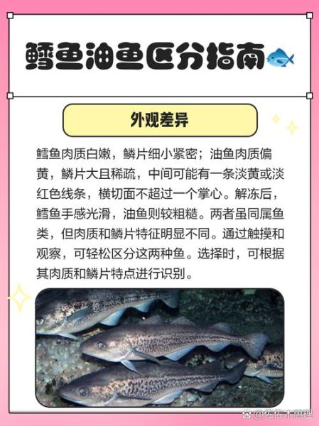 油鱼和鳕鱼蒸出来区别_怎么分辨真假鳕鱼-第1张图片-山城妙识