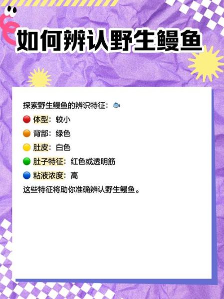 淡水鳗鱼多少钱一斤_淡水鳗鱼价格走势-第3张图片-山城妙识