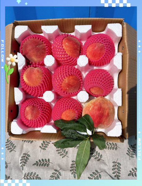 中华寿桃图片_如何挑选正宗果实-第1张图片-山城妙识 中华寿桃图片_如何挑选正宗果实-第1张图片-山城妙识