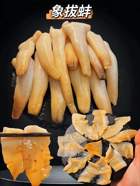 象拔蚌刺身怎么做_象拔蚌刺身视频教程-第3张图片-山城妙识