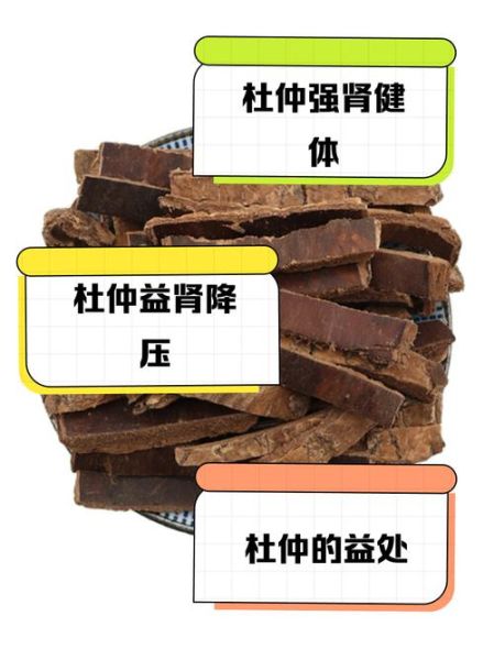 吃杜仲的禁忌_哪些人不能吃杜仲-第2张图片-山城妙识