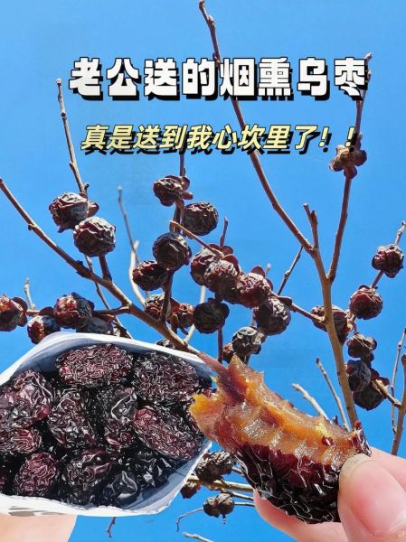 黑枣泡酒的功效与作用_黑枣泡酒怎么喝最好-第3张图片-山城妙识