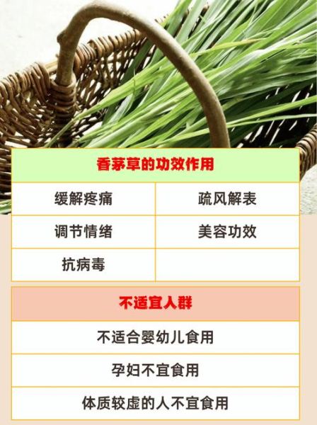 香茅是什么东西_香茅的功效与作用-第2张图片-山城妙识
