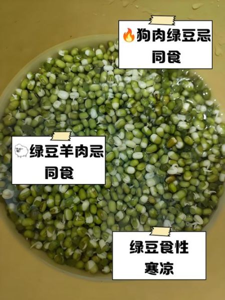 绿豆不能和什么一起吃_绿豆与哪些食物相克-第3张图片-山城妙识 绿豆不能和什么一起吃_绿豆与哪些食物相克-第3张图片-山城妙识