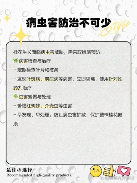 桂花干叶尖是怎么回事_桂花叶子干枯怎么办-第3张图片-山城妙识