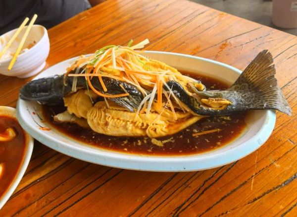 红烧虹鳟鱼块怎么做_虹鳟鱼红烧好吃吗-第2张图片-山城妙识