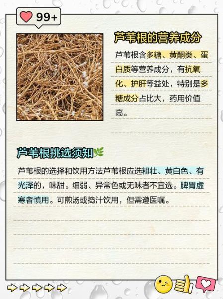 芦苇根的功效与作用_芦苇根能天天泡水喝吗-第2张图片-山城妙识