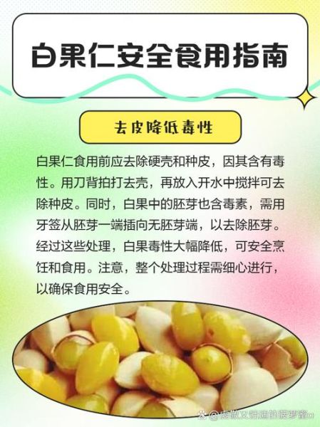 白果仁和白果的区别_白果仁怎么吃才安全-第1张图片-山城妙识