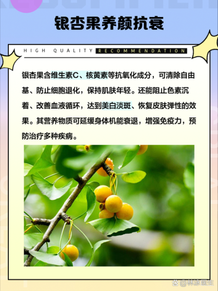 白果仁和白果的区别_白果仁怎么吃才安全-第3张图片-山城妙识