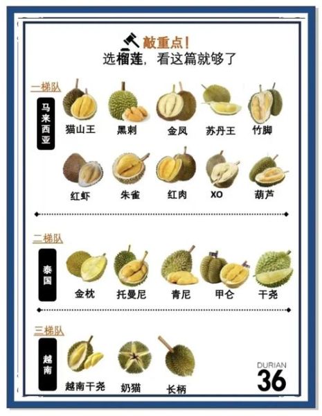 榴莲图片真实一点_如何辨别成熟榴莲-第3张图片-山城妙识