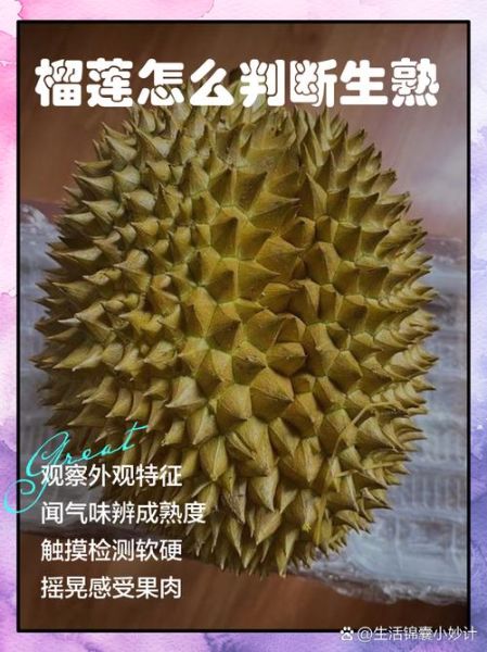 榴莲图片真实一点_如何辨别成熟榴莲-第2张图片-山城妙识