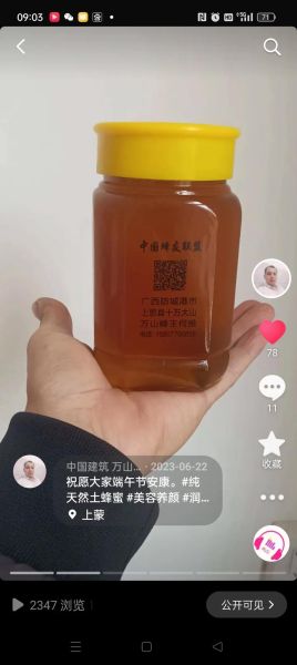 纯正土蜂蜜多少钱一斤_土蜂蜜价格为什么差距大-第1张图片-山城妙识
