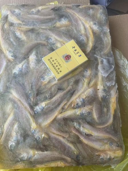 冷冻小黄鱼怎么做好吃_冷冻小黄鱼的家常做法-第3张图片-山城妙识