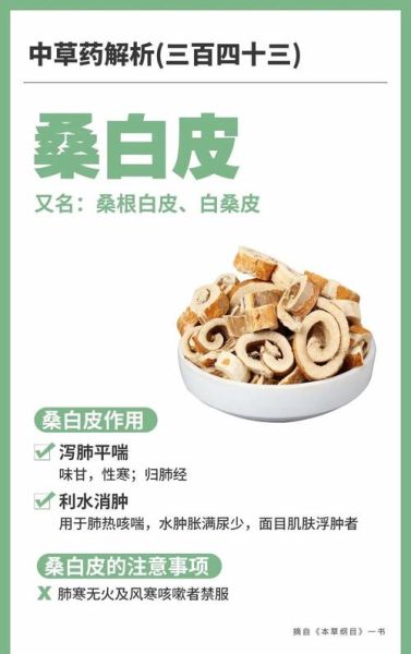桑白皮的功效与作用_桑白皮的禁忌症有哪些-第2张图片-山城妙识