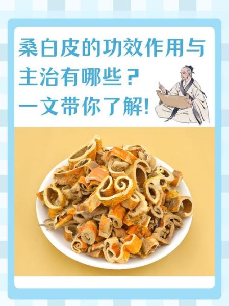 桑白皮的功效与作用_桑白皮的禁忌症有哪些-第1张图片-山城妙识