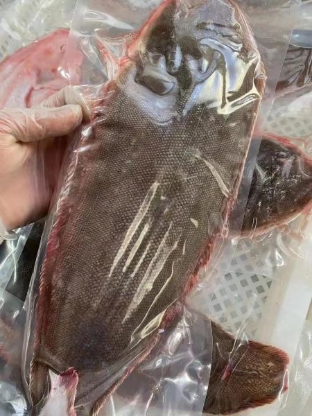 龙利鱼多少钱一斤_龙利鱼价格为什么差异大-第1张图片-山城妙识 龙利鱼多少钱一斤_龙利鱼价格为什么差异大-第1张图片-山城妙识