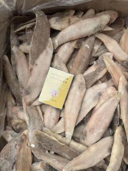 龙利鱼多少钱一斤_龙利鱼价格为什么差异大-第2张图片-山城妙识 龙利鱼多少钱一斤_龙利鱼价格为什么差异大-第2张图片-山城妙识