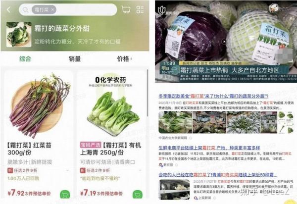 叮咚买菜怎么样_叮咚买菜靠谱吗-第3张图片-山城妙识