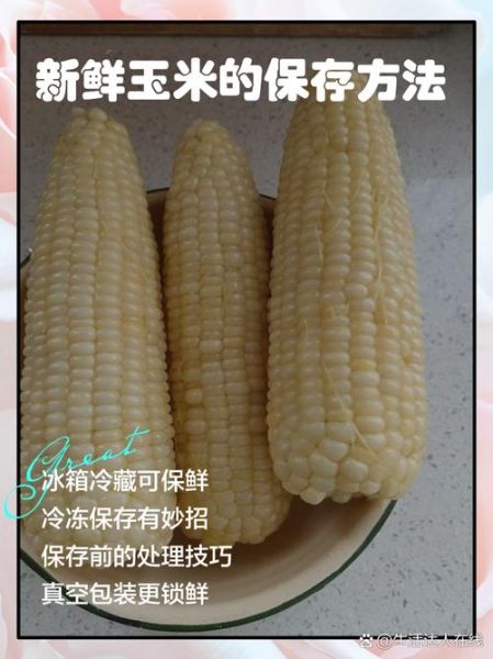 鲜玉米棒怎么保存_鲜玉米棒可以放冰箱多久-第1张图片-山城妙识