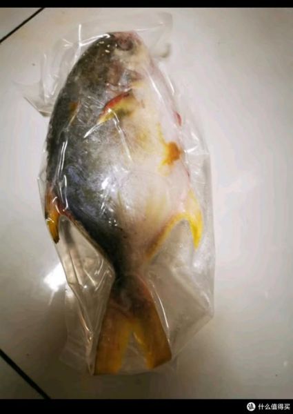 金鲳鱼养殖技术_金鲳鱼养殖成本和利润-第3张图片-山城妙识