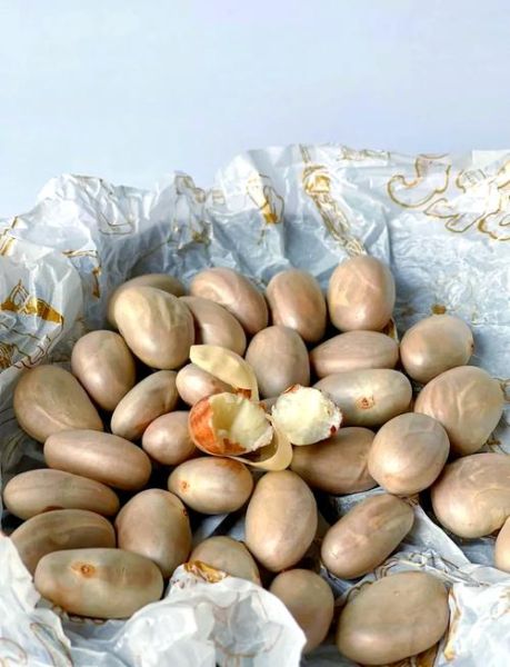 菠萝蜜的核能吃吗_有什么功效-第1张图片-山城妙识