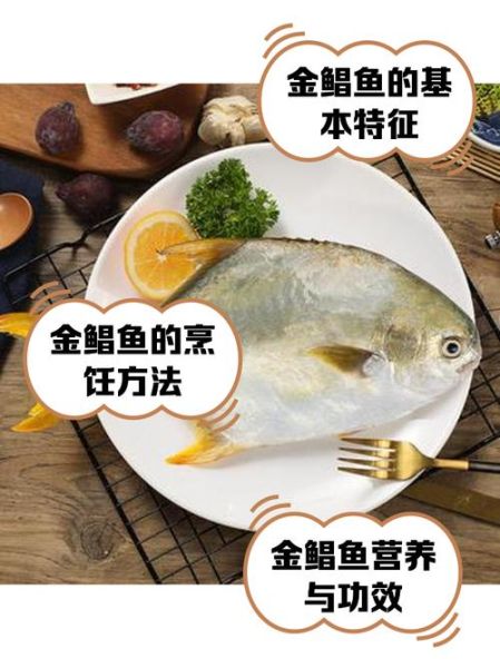 金鲳鱼养殖技术_金鲳鱼养殖成本和利润-第1张图片-山城妙识