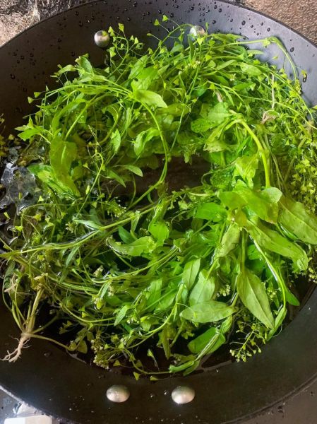 荠菜煮鸡蛋能治头疼吗_荠菜鸡蛋治头疼是真的吗-第1张图片-山城妙识