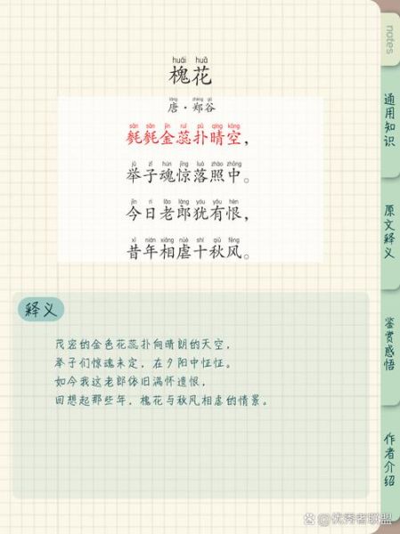 槐花雅称有哪些_古人为何偏爱槐蕊-第3张图片-山城妙识