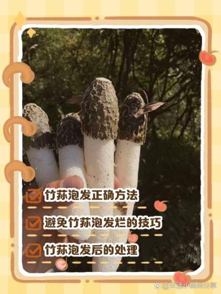 干竹荪菌怎么泡发_干竹荪菌的做法大全-第2张图片-山城妙识