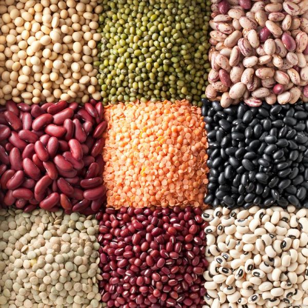 豆类图片大全_常见豆类品种有哪些-第2张图片-山城妙识