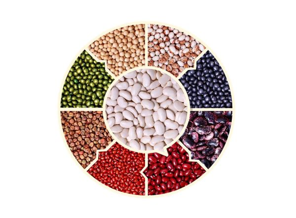 豆类图片大全_常见豆类品种有哪些-第3张图片-山城妙识